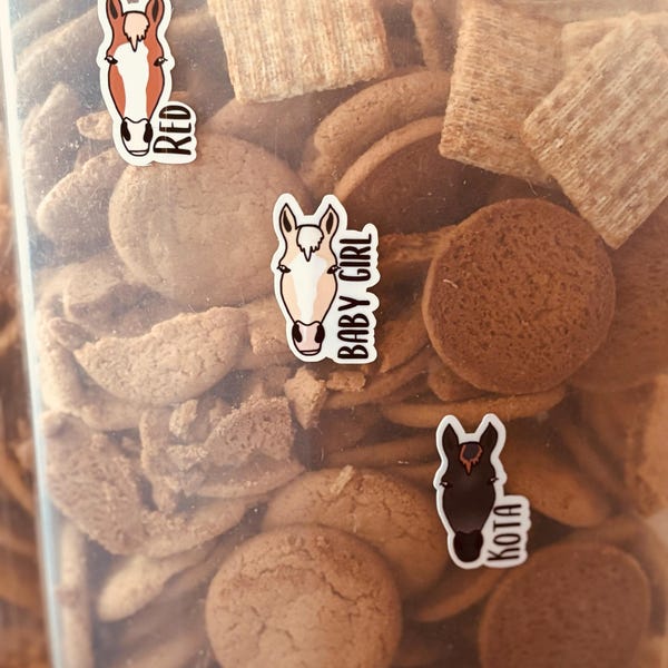 Show Me Your Pitties Pitbull Dog Sticker VSCO Water Bottle Laptop ...