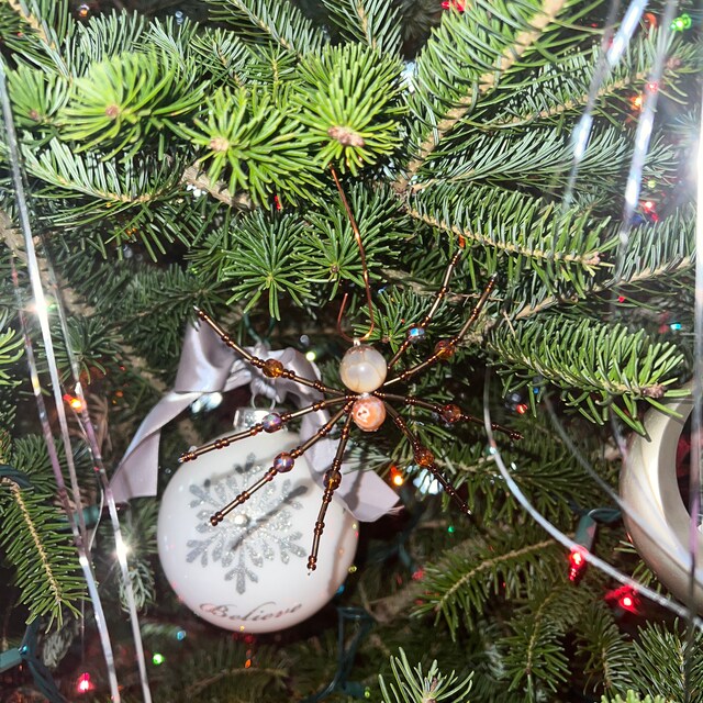 Spiderville | Etsy