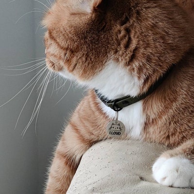 Tiny 20mm Cat Kitten ID Tags Laser Engraved, Stainless Steel Available ...