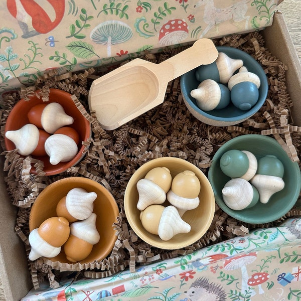 Acorn Sorting | Montessori Toys | Wooden Toys - Etsy