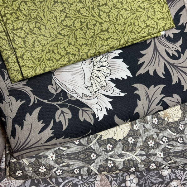 Constance Quilt Kit With Dandi Duo by Robin Pickens Lap or Twin Size - Etsy