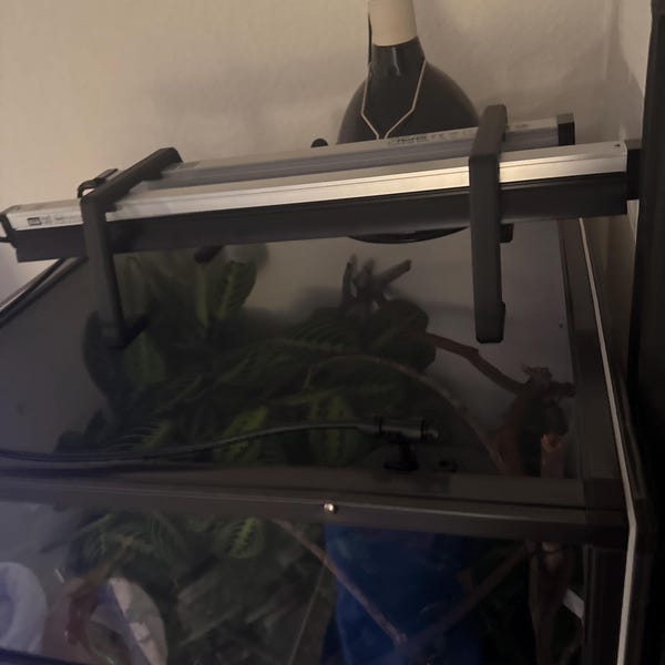 DOUBLE Arcadia UV Light Stand for Lumenize, Pro T5 & Jungle Dawn ...