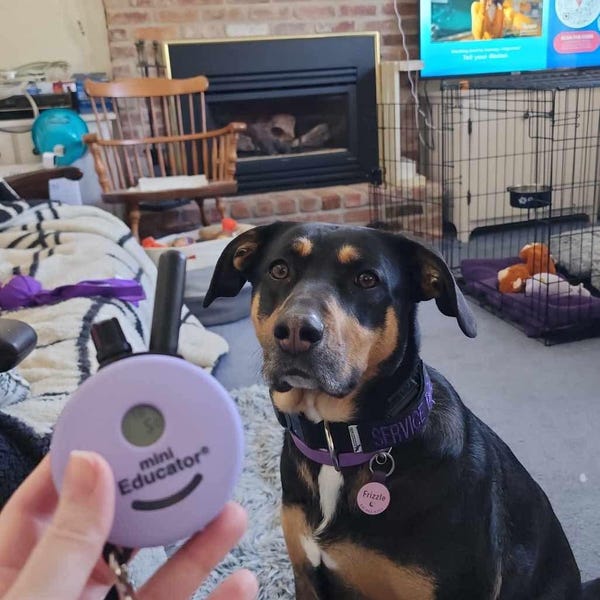 E-collar Technologies Mini Educator ET-300 & Micro Educator ME-300 ...