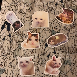 Crying Cat Sticker Pack Pack of 7 Meme Crying Cat Stickers - Etsy