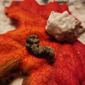 Charming omar Stones Greywacke With Pits. Lake Superior Omarolluk - Etsy