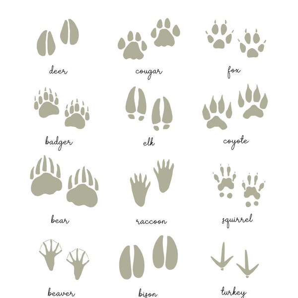 Animal Tracks - Field Guide Sign SVG, Nursery Decor, Kids Room, Animal ...