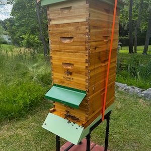 Observation Beehive Honeybee Educational Hive Made in the USA - Etsy
