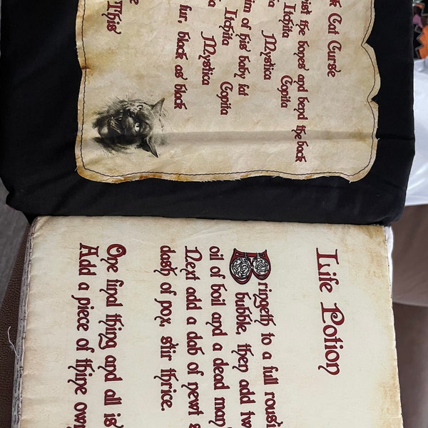 Spell Book Pillow - Etsy