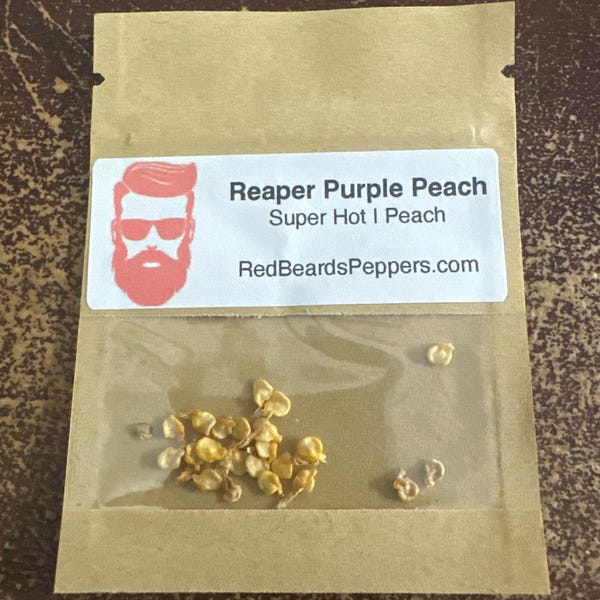 Jamaican Chocolate Habanero Pepper Seeds - Etsy