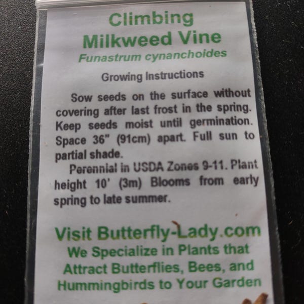 Common Ironweed (vernonia Fasciculata) Packet of 25 Seeds With FREE ...