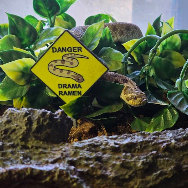 XL Hoggy Hide. Burrow Hide. Snake Hide for Western Hognose, Colubrids ...