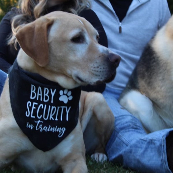 Baby Security in Training Dog Bandana: Pregnancy Announcement - Etsy