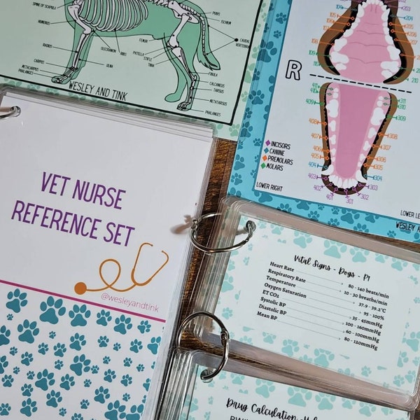 PINK Vet Nurse/tech Pouch Bundle, Bandage Scissors, Calculator, Pens ...