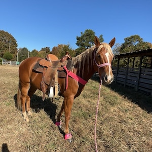 Braided Mule Tape Twist Hobble - Etsy
