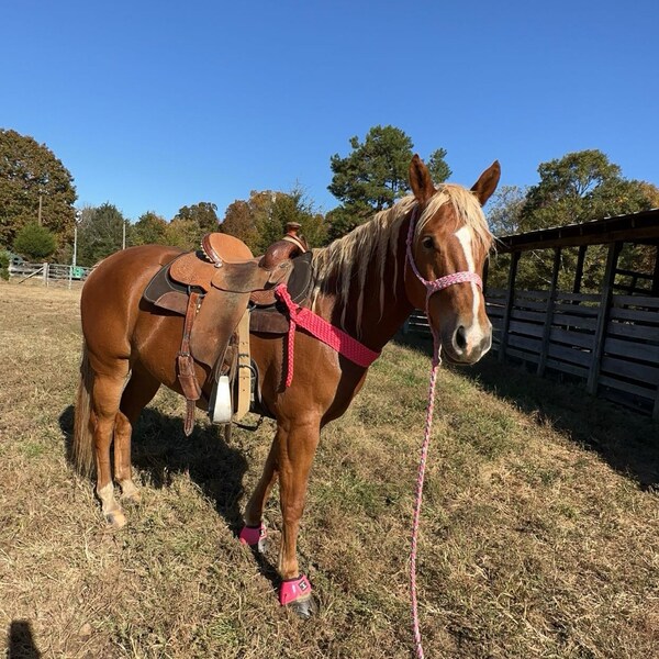 Braided Twist Hobbles and 3 Way Attachment Set - Etsy