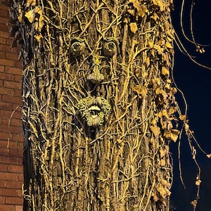 Mr. Grumpy Stump Tree Face Fun Birthday Gifts Made in - Etsy Canada