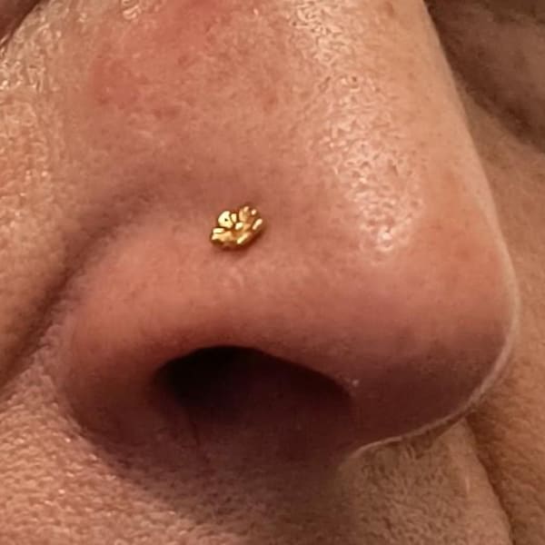Bug Nose Stud, Insect Nose Ring, Ladybug, Fly, Animal Unique Nose Screw ...