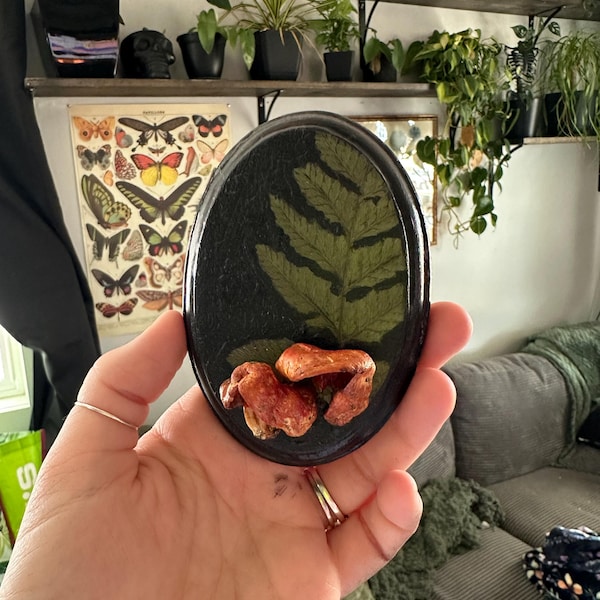 Cedar Smoke Cleansing Wands Wildcrafted Smudge Bundles Housewarming ...