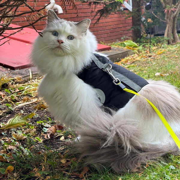 Reflective High Visibility Harness for Cat. Difficult to Escape. Safety ...