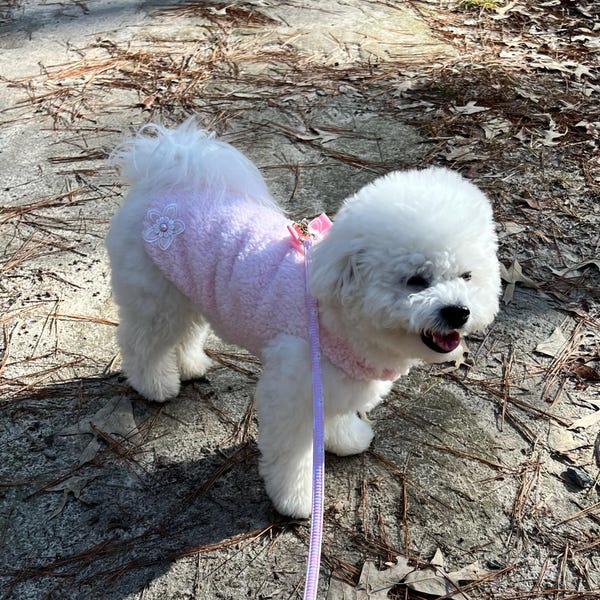 Minnie Mouse Tutu Dress- Disney Pet Singlet, Pet Clothing, Disney Pet ...