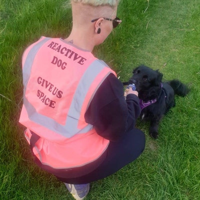 The Gaffa High Viz Vis Waistcoat Safety Reflective Clothing Hi ...