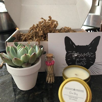 CAT SYMPATHY GIFT Loss of Cat Cat Loss Sympathy Gift Sorry for Your ...