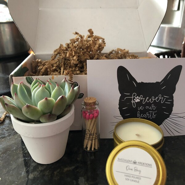 CAT SYMPATHY GIFT - Loss of Cat - Cat Loss Sympathy Gift - Sorry for ...