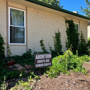 Pro-choice/pro-love/pro-science Women's Rights / Pro - Etsy