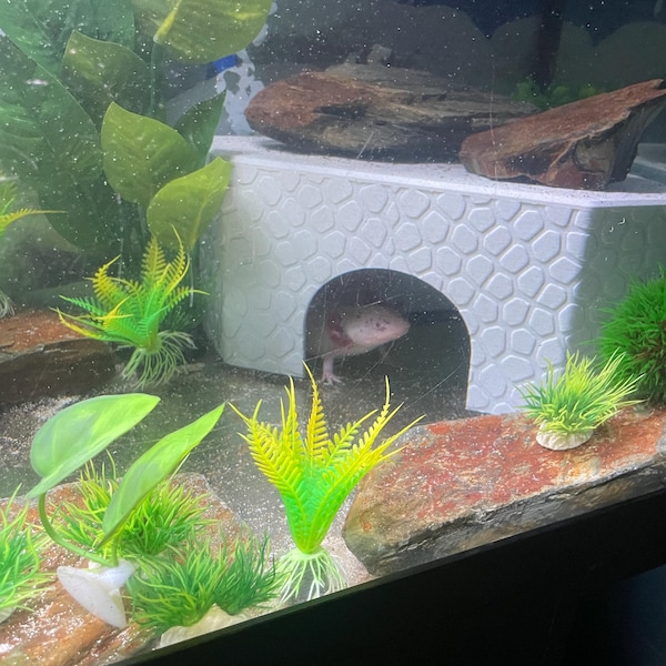 TORTOISE Log Cabin Reptile Hide, Whimsical Vivarium Accessory for Pet ...