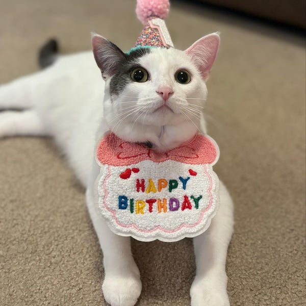 Cat Birthday Hat| Pet Party Hat | Puppy Birthday | First Birthday | Puppy First Birthday ...