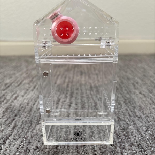 JC Decorated Hexagon Enclosures - Etsy