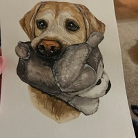 36 Set Dog Instagram Highlight Icons Unique Watercolor Dog Icons Pet ...