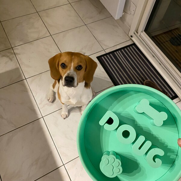 Cycle Shape Pet Tag,3d Printed Name Tag, Personalised Pet Tag, Dog Tag ...