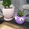 Red Pikmin Planter Pot 3D Model - Etsy