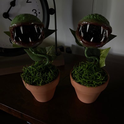 Angry Chomp Plant Monster Carnivorous Plant - Etsy