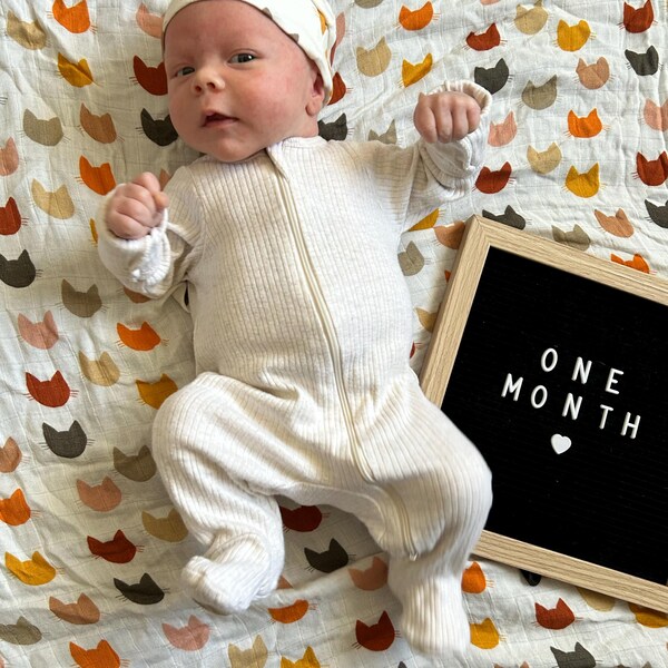 Cat Swaddle Blanket, Cat Baby, Cat Lovers Baby Gift, Gender Neutral ...