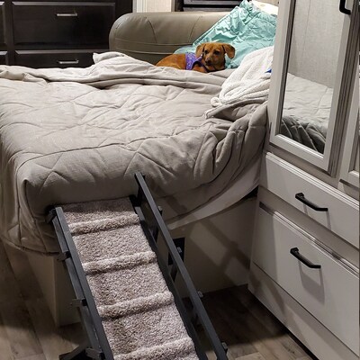 Pet Ramp With Foldable Rails 4 Height Levels Adjustable Steps - Etsy