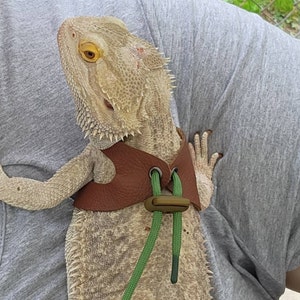 Bearded Dragon Hat Lizard Costume Reptile Hat Crochet - Etsy