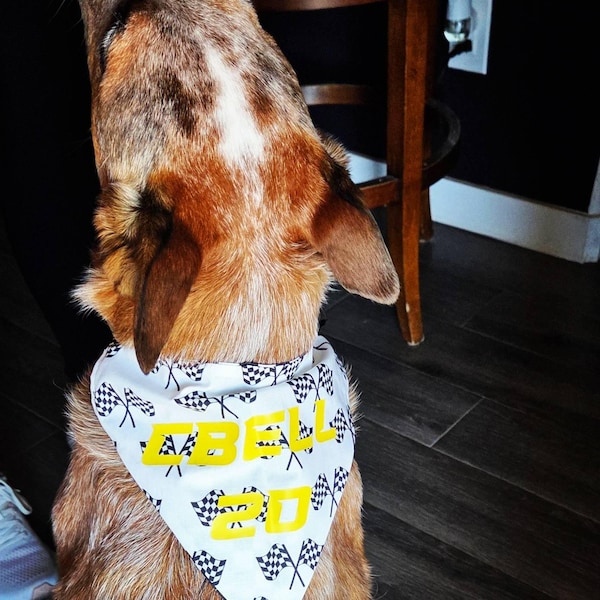 Black and White Race Day Checkered Dog Bandana (reversable) Indy 500 ...