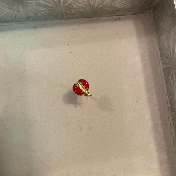 Ladybug Piercing, 14K Solid Gold Ladybird Earring, Animal Jewelry ...