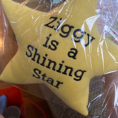 Star Personalized DOG Toy Handmade Funny Dog Toy Gift for Dog - Etsy