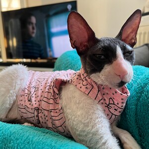 Kotomoda Shower Caps for Sphynx Cats and Small Pets 20pcs in a Tin Box ...