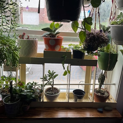 Window Sill Shelf, Wooden Shelf for Plants, Floating Shelf, Farmhouse ...