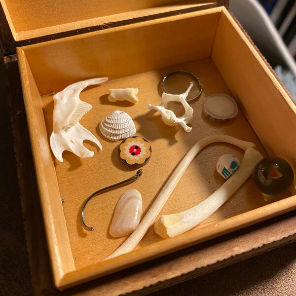 Throwing the Bones Book & Kit 129 Pgs and 15 Pc Learn to Throw the ...