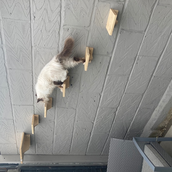 Handmade Wooden Cat Climbing Steps: Indoor/outdoor Cat Furniture - Etsy