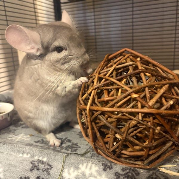 Coffee+bunnnies Tote Bag, Rabbit Lover Tote Bag, Bunny Mom Bag, Gift ...