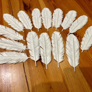 Buy Tissue Paper Feathers, Vegan Feathers, Fake Feather Online in India ...