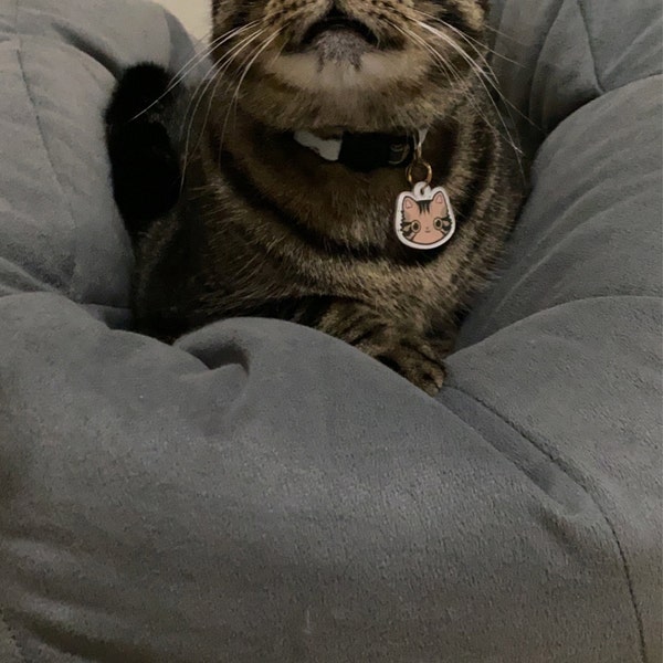 Cute Xiao Long Bao Dog Toy With Squeaker Cute Kawaii Chinese Dumpling ...