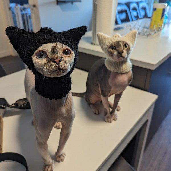 Yellow Cat Hat Hand Knit Sphynx Cat Accessories Pet Winter Beanie for ...