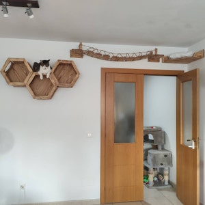 Cat Ceiling 3 Hexagon Shelves, Cat Floating Bridge for Wall, Ceiling ...
